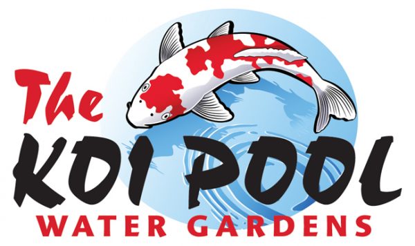 About The Koi Pool - One of The Leading UK Aquatics Shop